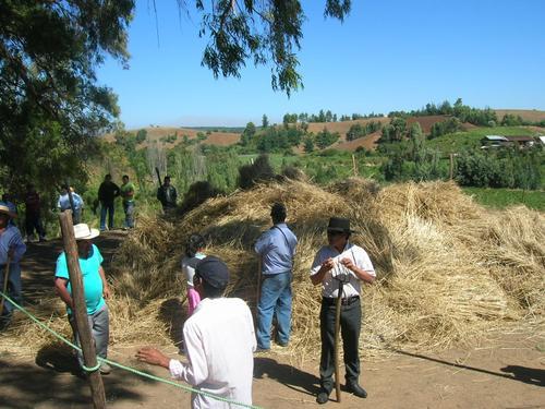 Este domingo 6 de enero: